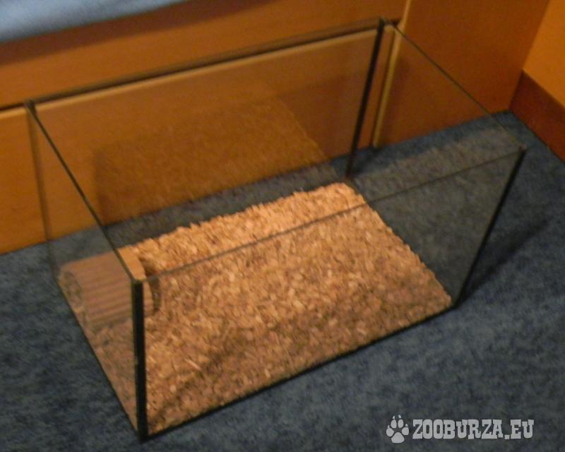 Terárium 50x30x30
